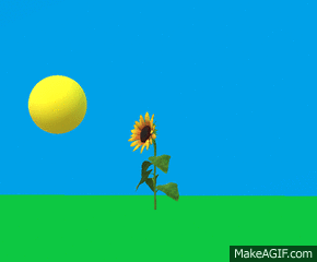 Class 7: Cells, Tissues, Organs and Organ Systems | TheScienceTeacher